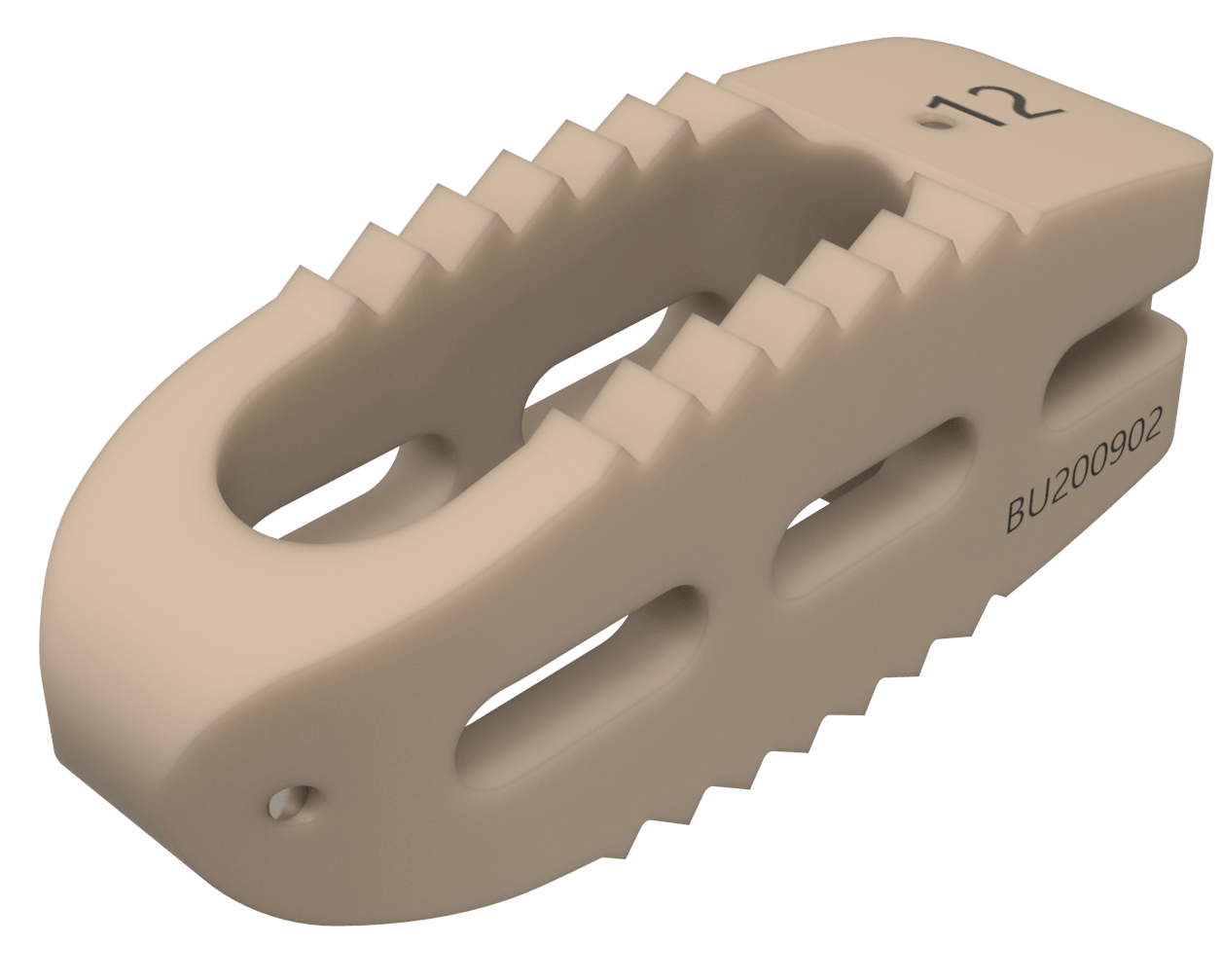 Transforaminal Lumbar InterbodyFusion Cage | BAUI Biotech