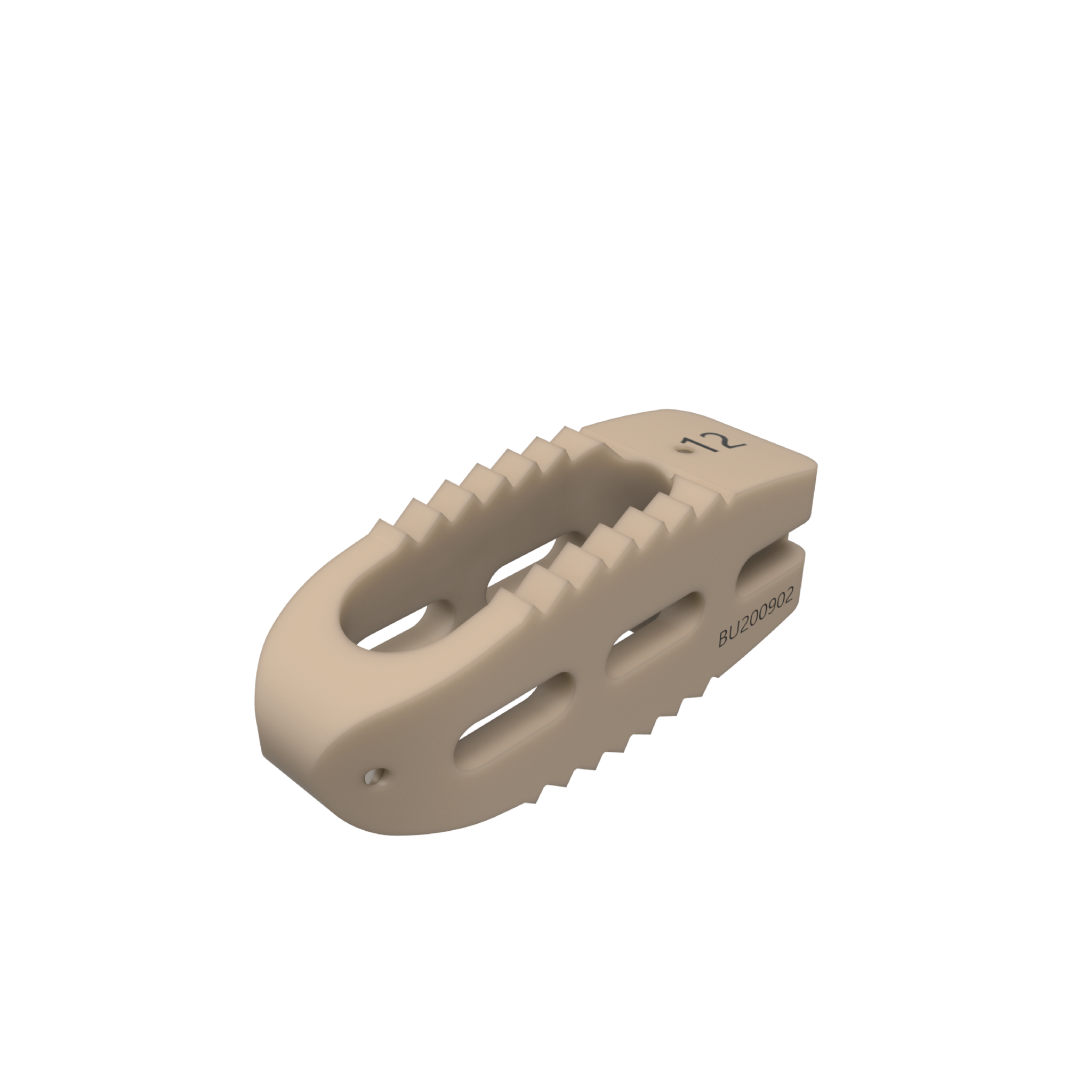 Interbody Fusion Device | BAUI Biotech